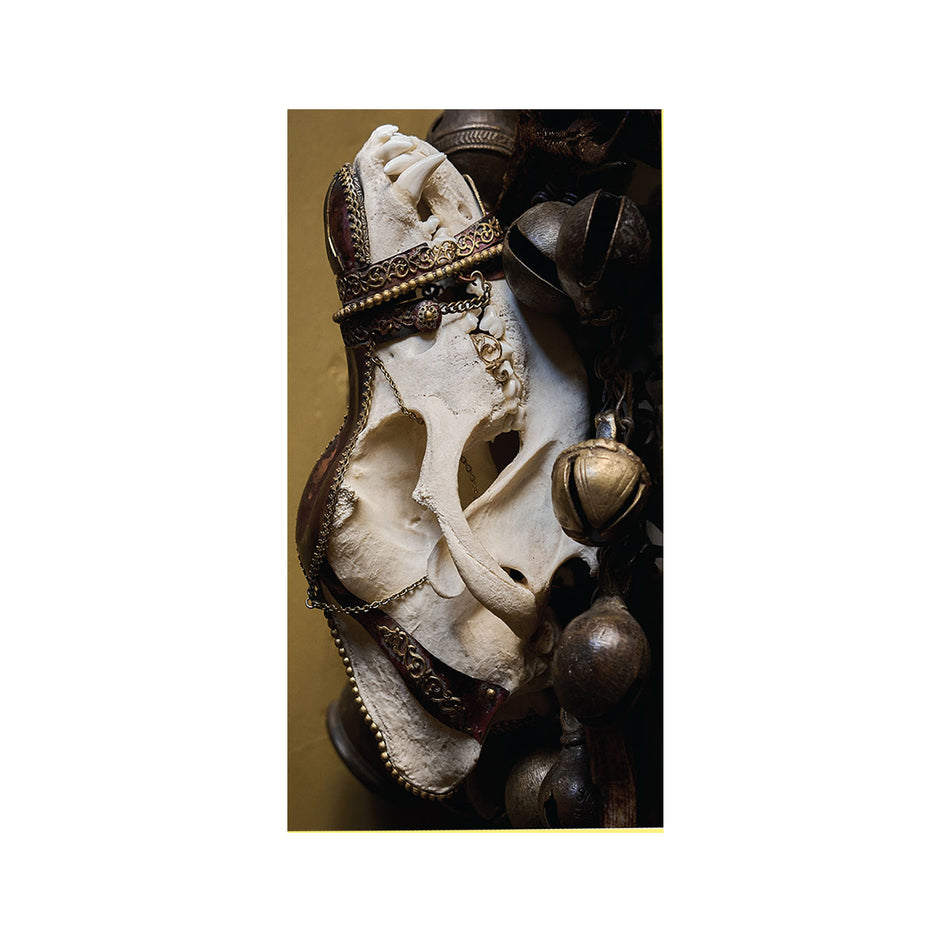 AMENRA - Official Merch Store – Evil Greed